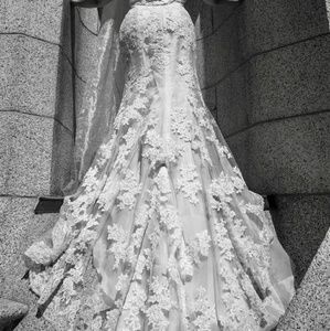 platinum demetrius | Dresses | Beautiful Platinum Demetrius Ivory ...